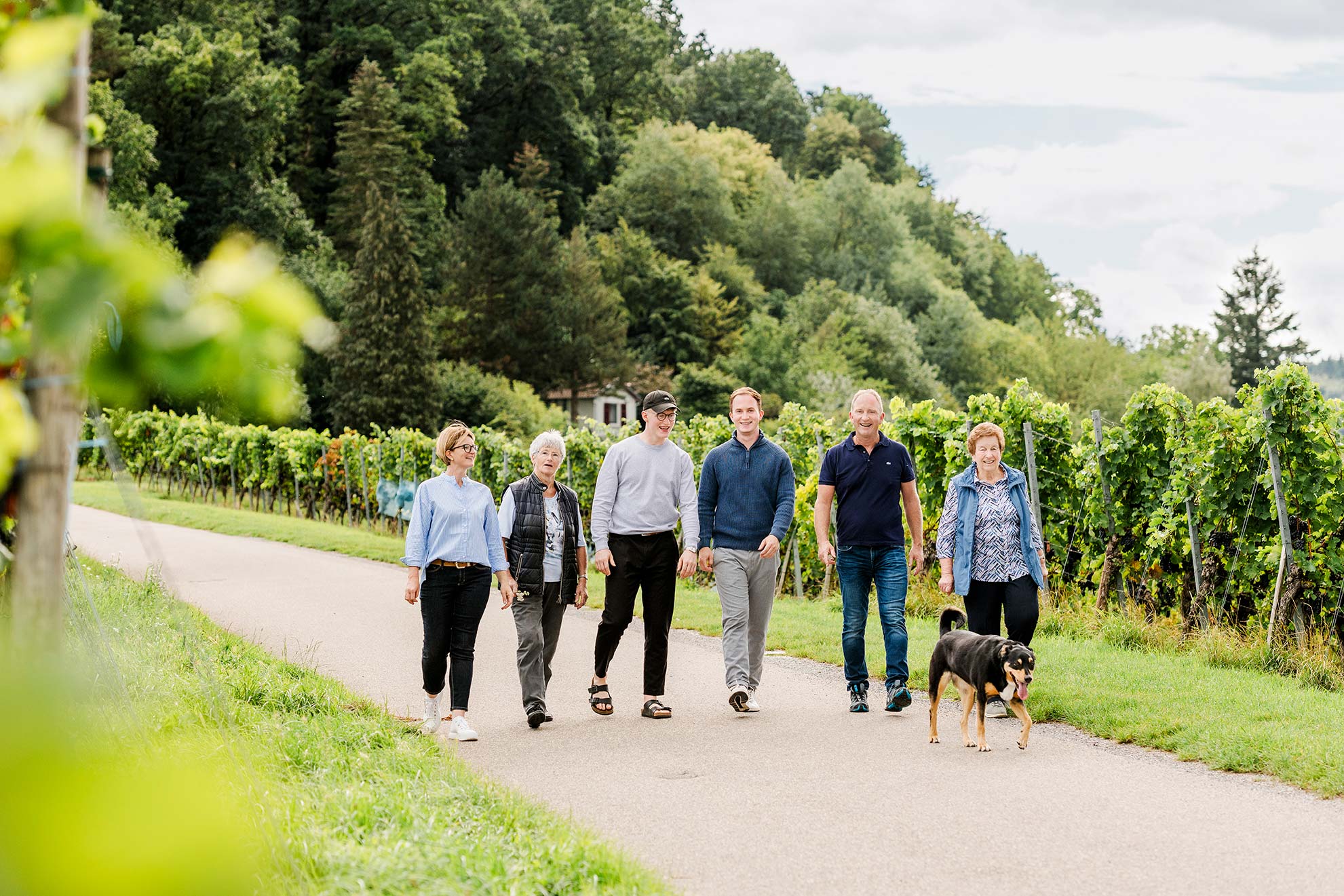Home - Weingut Luckert